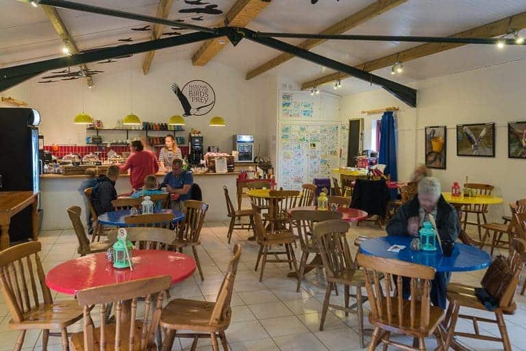 Owl House Cafe - National Centre for Birds of Prey
